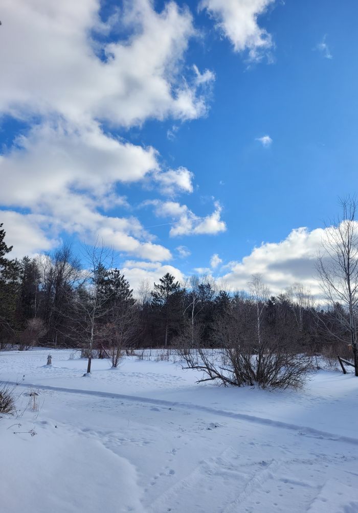 dVerse OLN 399 — cloud cotton leaves – Tao Talk